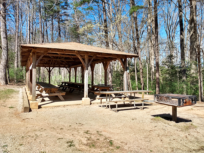 This picnic shelter is like nature's dining room&mdash;complete with fresh air conditioning and a soundtrack of rustling leaves instead of elevator music.