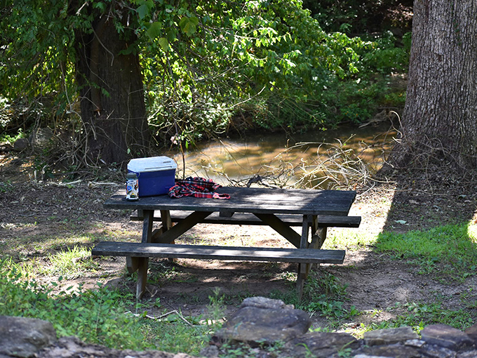 A photographer's dream angle &ndash; the bridge's distinctive silhouette frames the flowing water below, showcasing both architectural ingenuity and natural beauty.