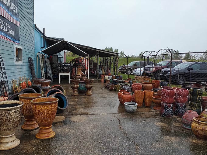Garden pottery paradise! These weathered vessels have seen more seasons than most gardeners, ready to give your plants the perfect historical home.