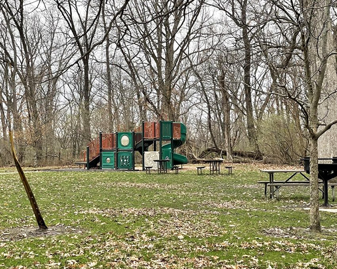 This playground might not have Wi-Fi, but it offers better connections&mdash;to nature, childhood joy, and the timeless art of climbing on things.