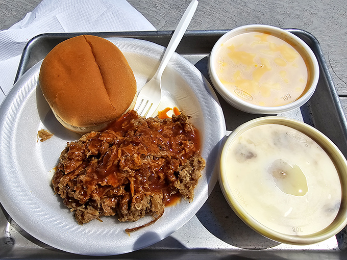 The pulled pork sandwich arrives with sides that aren't afterthoughts but co-stars in this delicious production. The mac and cheese deserves its own fan club.