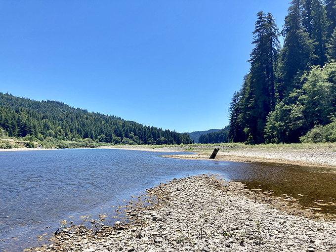 The Eel River carves its ancient path through the redwood forest. Nature's perfect swimming pool awaits those brave enough to handle the brisk mountain water.