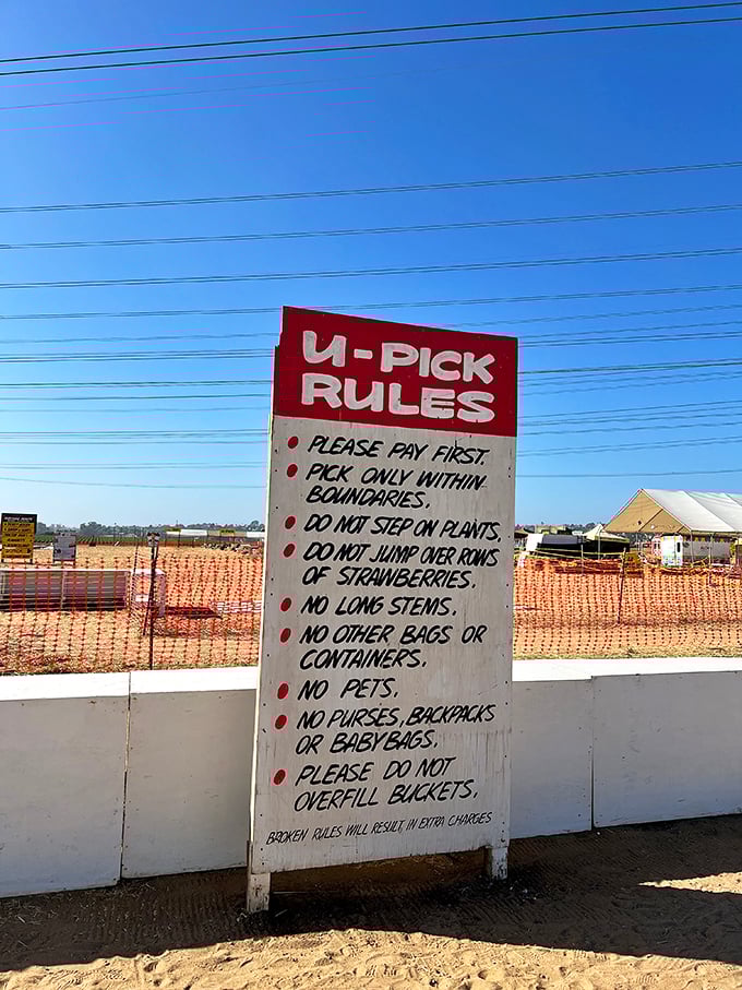 The agricultural equivalent of "read the room"&mdash;these picking rules ensure everyone gets their fair share of berry bliss.