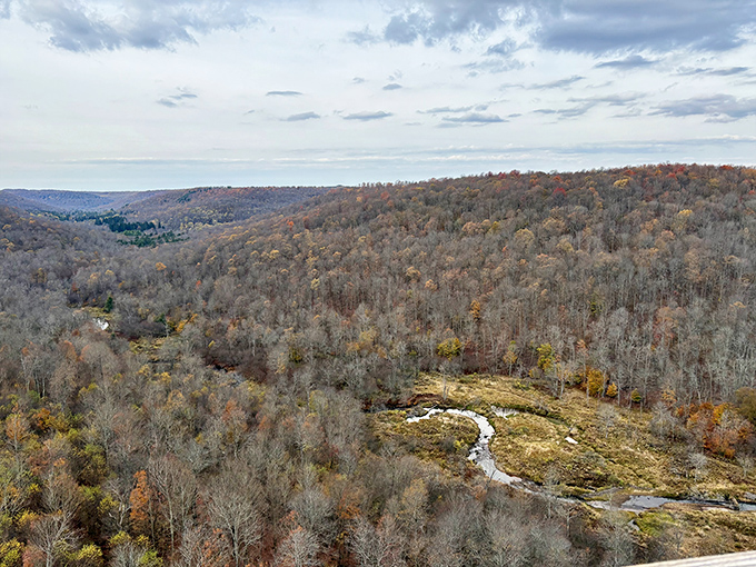 The rolling hills of Pennsylvania unfold like nature's quilt. On clear days, you can almost see tomorrow from here.