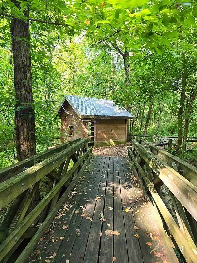 Rustic charm meets woodland serenity at this trail cabin. It's like stepping into a Thoreau daydream, minus the required reading.