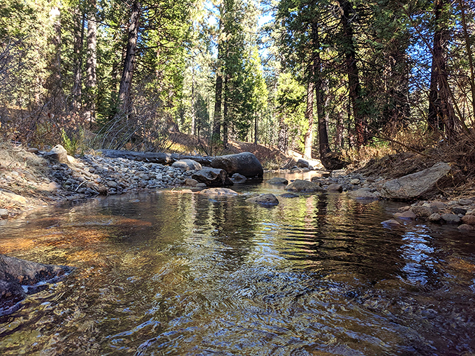 Crystal clear mountain waters that make your bottled spring water look like an impostor. Nature's perfect reflecting pool between forest giants.