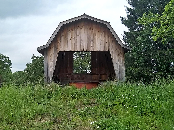 The old shed stands nearby like a faithful companion, proving that even bridges appreciate having neighbors who mind their business.