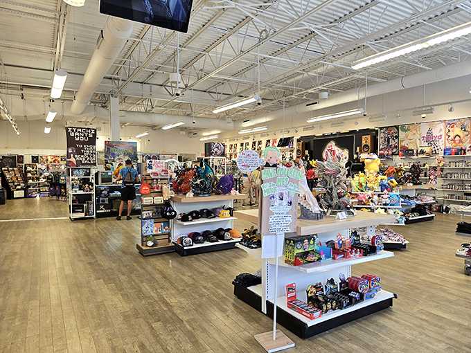 This isn't your grandmother's outlet store&mdash;modern interiors and organized displays have replaced the chaotic bin-diving expeditions of outlet shopping's early days.