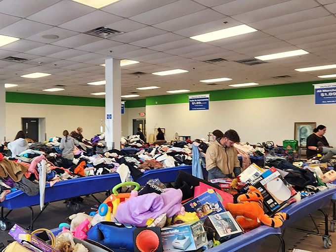 The thrill of the hunt in action! These savvy shoppers navigate mountains of potential finds with the focus of truffle-hunting pigs in a French forest.
