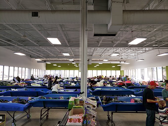 The thrill of the hunt in action&mdash;shoppers navigate a sea of blue bins like explorers charting unknown territories of discarded possibilities.