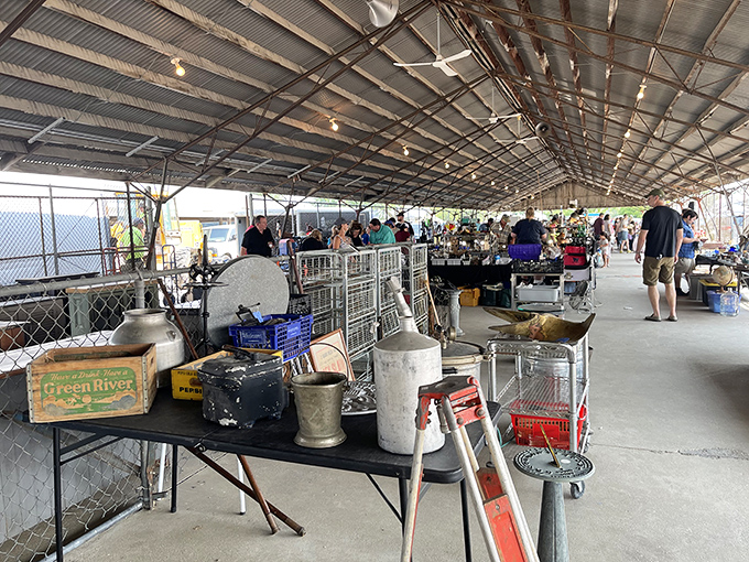 Covered market magic: From milk cans to mysterious gadgets, this sheltered section offers treasure hunting regardless of Illinois' famously unpredictable weather.