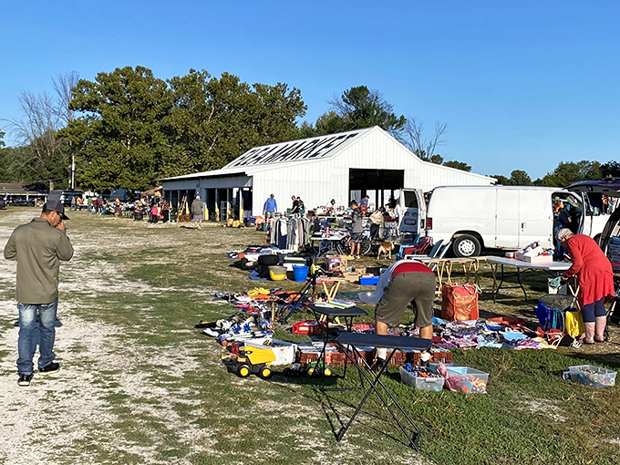 The outdoor market experience&mdash;where Missouri sunshine illuminates treasures that big box stores could never offer. The thrill of the hunt in action!