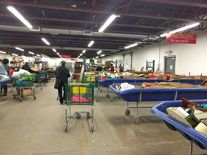 Shopping carts await their pilots like chariots before battle. Choose wisely&mdash;the wobbly-wheeled one might lead you astray.