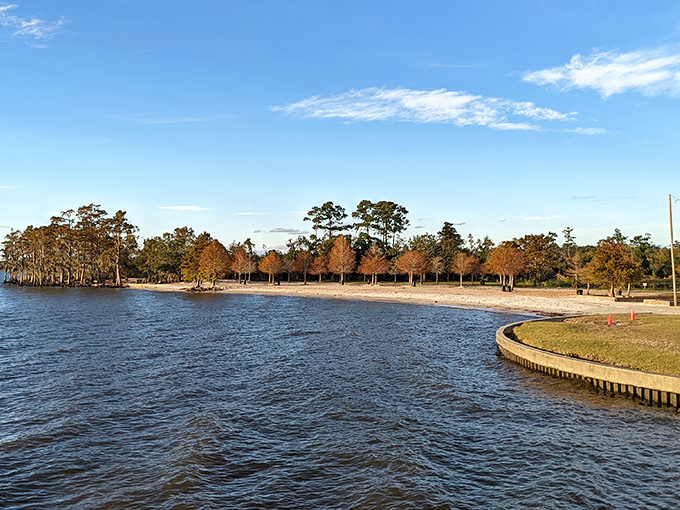 Beach day, Louisiana style. The gentle curve of shoreline embraces Lake Pontchartrain's waters, creating a postcard moment that changes with each season.