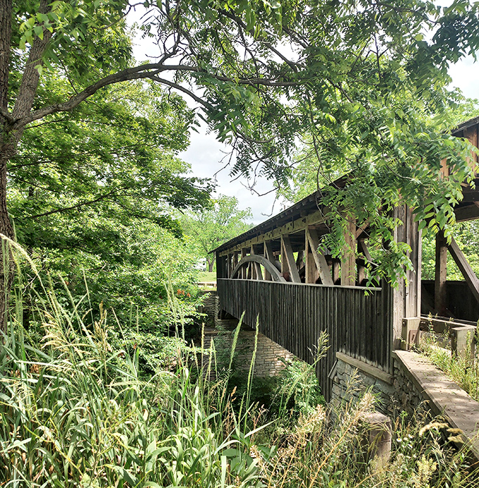From this angle, you can appreciate how the bridge hugs the landscape. Wild grasses and weathered wood create a harmony that modern structures rarely achieve.