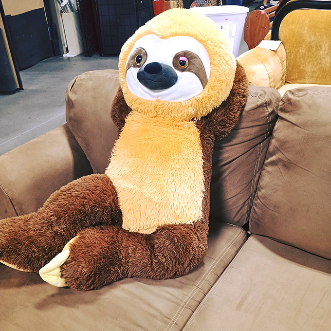 This plush sloth seems perfectly content lounging on his thrift store sofa, embodying the laid-back approach recommended for serious treasure hunting.