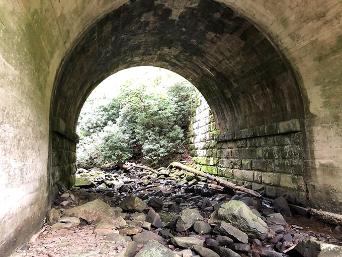 This moss-kissed stone tunnel isn't just abandoned infrastructure&mdash;it's a portal to the past, whispering stories of the valley's industrial heyday.