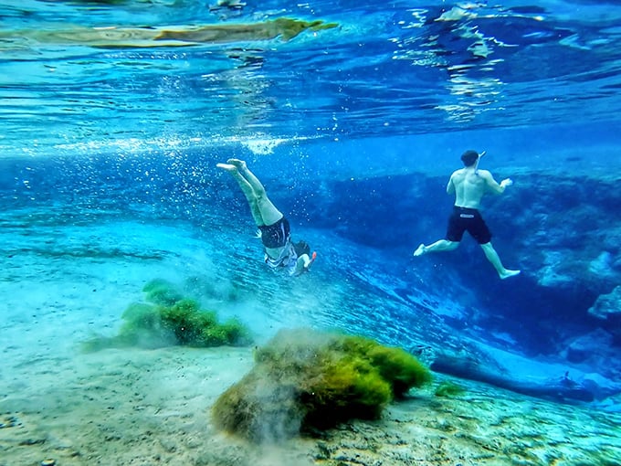 Underwater explorers discover what swimming was meant to be. The clarity rivals Caribbean waters, minus the salt and international airfare.