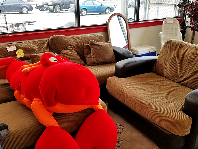 That giant red lobster plush has seen things. Now it lounges on secondhand sofas, silently judging your furniture choices with its beady eyes.
