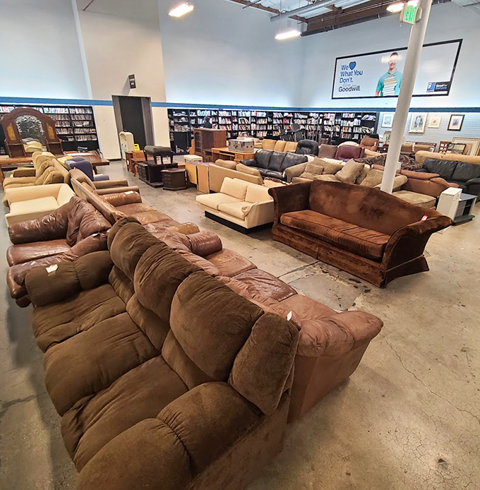 The couch audition room. Test-drive your next conversation pit while imagining the fascinating lives these sofas have already witnessed.