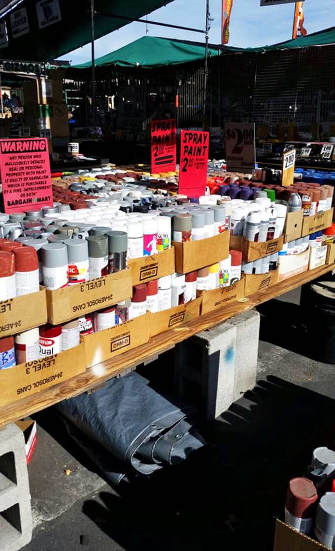DIY paradise in aerosol form. These spray paint cans represent thousands of furniture flips, craft projects, and "honey, I had a vision" moments.