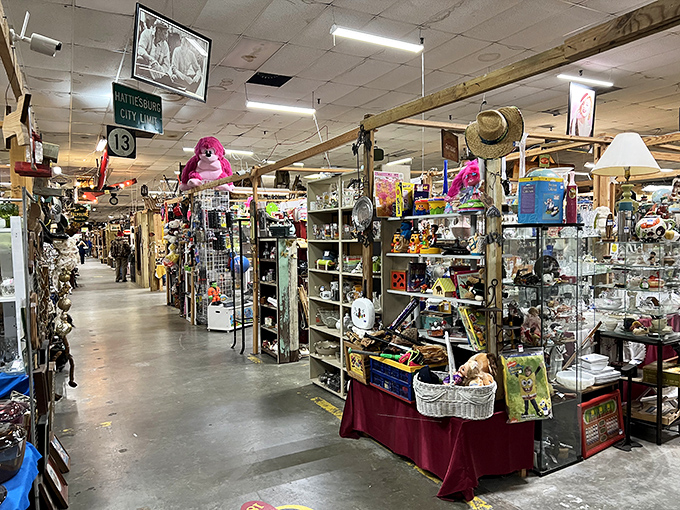 Treasure hunting requires comfortable shoes and endless patience as you navigate these vendor-lined corridors filled with yesterday's treasures.