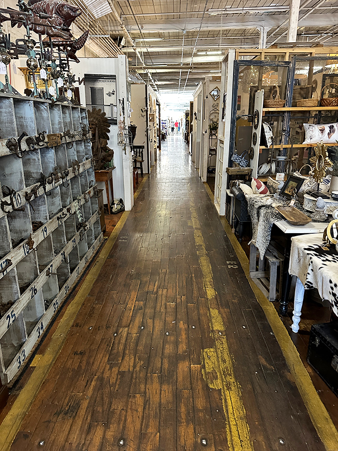 Wooden floors that creak with secrets and aisles that promise adventure. The yellow lines aren't for racing&mdash;though it's tempting.