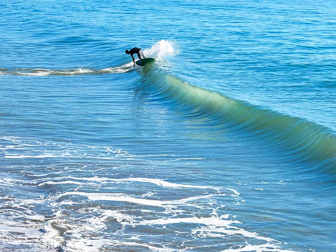 Surf's up at Seacliff! Local wave riders have mastered these rolling Pacific swells, making it look effortless while the rest of us watch in awe.