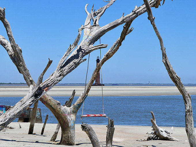 Nature frames history perfectly as driftwood creates a foreground for this iconic South Carolina landmark.