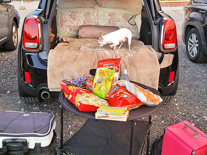 The modern drive-in tailgate: blankets, snacks, and a four-legged movie critic who's clearly waiting for the dog-friendly scenes.