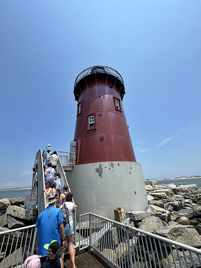 Lighthouse pilgrims making their ascent. That spiral staircase might leave you breathless, but the stories these walls could tell are worth every step.