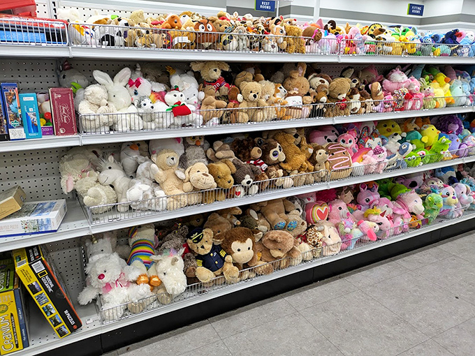 The stuffed animal adoption center&mdash;where these gently-loved cuddle companions patiently wait for their second chance at being someone's favorite.