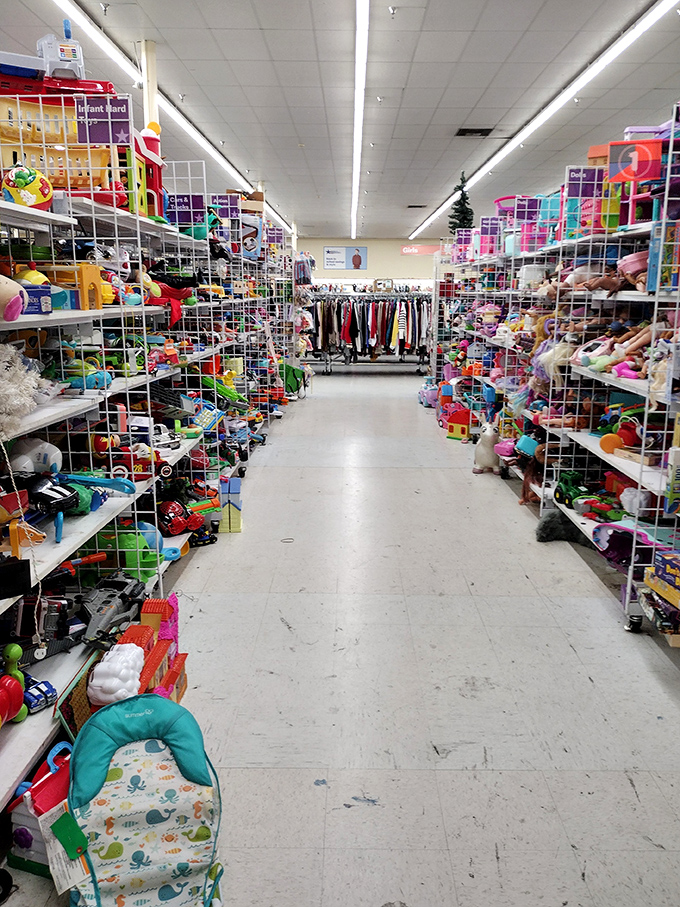 A wonderland of toys where childhood memories line both sides of the aisle. Stuffed animals and plastic playsets await new adventures.
