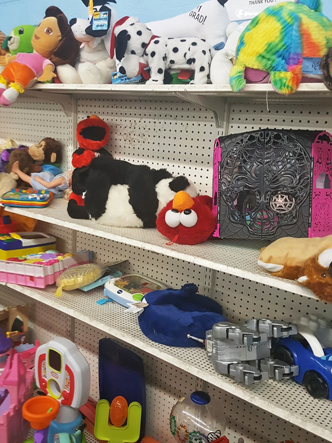 Stuffed animal adoption center where Elmo, Dalmatians, and rainbow bears wait for second chances with new families&mdash;no paperwork required.