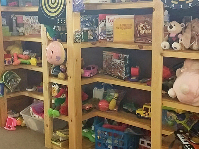 Forgotten action figures and well-loved stuffed animals create a colorful landscape of childhood memories waiting for new adventures.