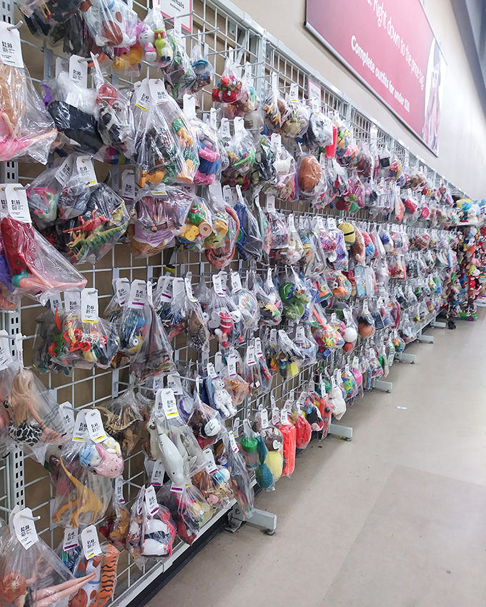 Bagged treasures hang like colorful fruit, each plastic package containing someone's future favorite toy or collector's prized possession.