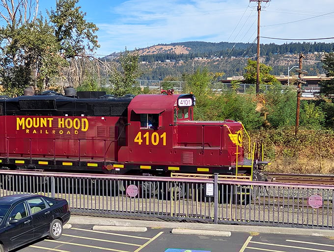 I'm ready for my close-up, Mr. DeMille. The crimson Mount Hood Railroad engine #4101 poses proudly against the Columbia Gorge backdrop.