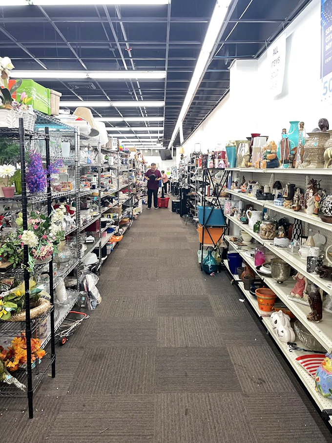 Treasure hunters paradise! Each shelf holds potential discoveries, from everyday glassware to that perfect vintage vase you didn't know you needed.