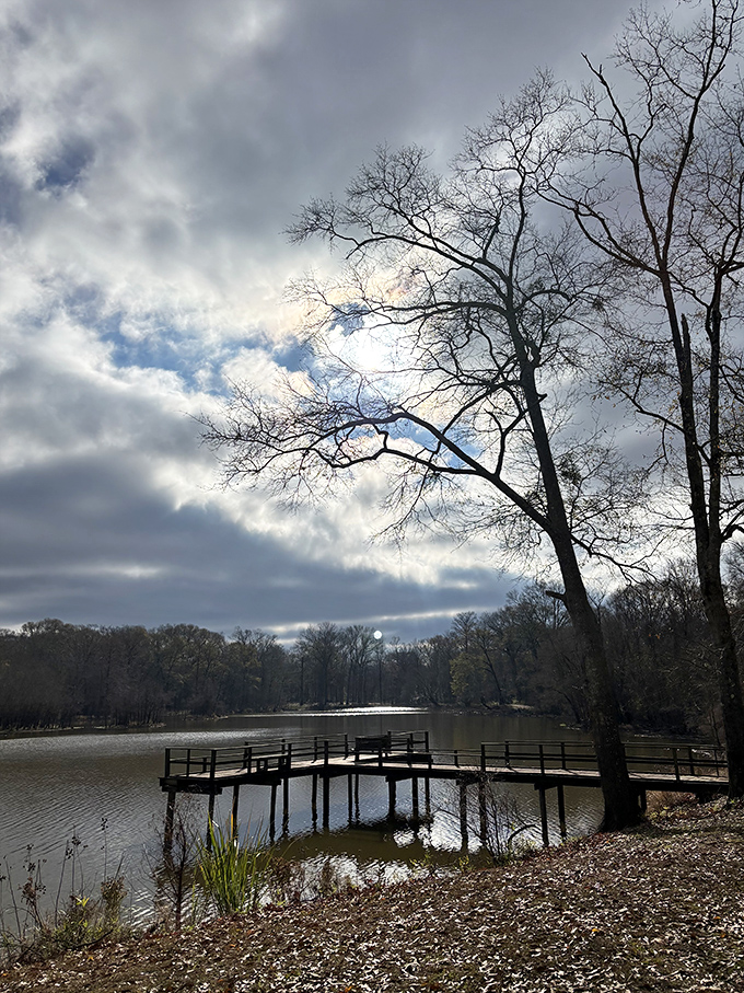 Winter reveals the bones of the forest around Mayes Lake, where the fishing pier stretches toward possibilities like a pathway to contemplation.