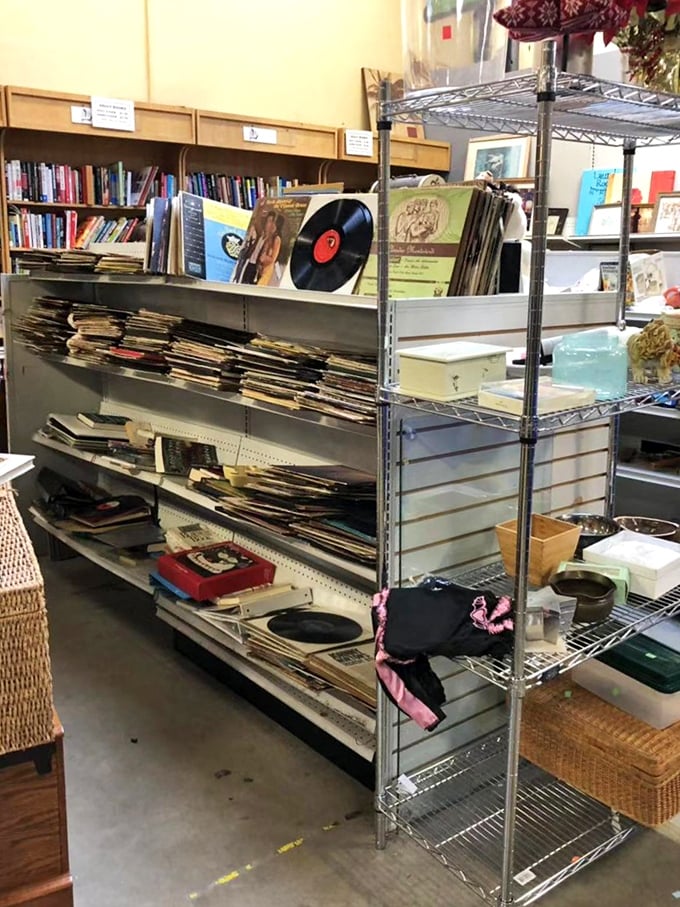 Vinyl records stacked like musical time capsules, each one a portal to someone's favorite memories and dance moves.