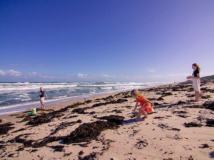 Family beach day: where sandcastles become architectural marvels and seaweed transforms into imaginary sea monsters.
