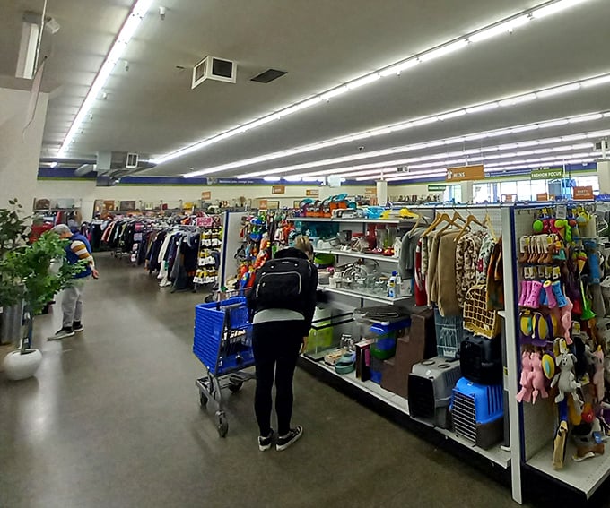 The universal posture of the dedicated thrifter: slightly hunched, cart at the ready, eyes scanning for that perfect find among the organized chaos.