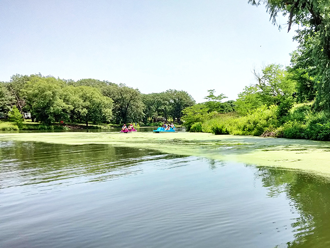 Paddle boats glide through emerald waters, proving you don't need an ocean to have a perfect summer day on the water.