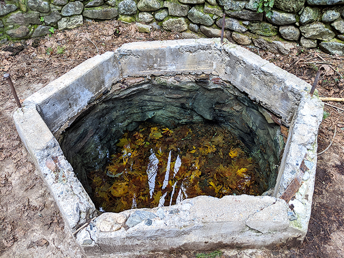 This historic well from the old Ney Springs Resort &ndash; where Californians once "took the waters" long before green juice cleanses were a thing.