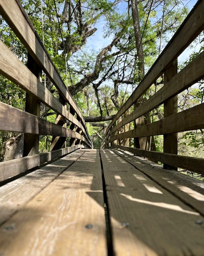 Sunlight plays hide-and-seek on this wooden bridge, creating dappled patterns that no Instagram filter could improve upon.