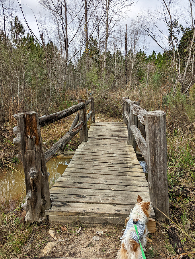 A bridge to somewhere better than where you were before. Simple wooden planks connecting you to the wilder side of Texas.