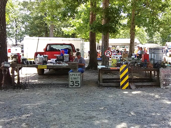 Under shady trees, treasure hunters gather where deals bloom like spring flowers in Arkansas dirt.