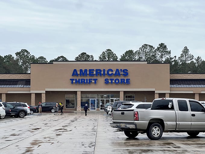 Rain or shine, America's Thrift Store delivers the goods. Like a reliable neighborhood bistro that never disappoints.
