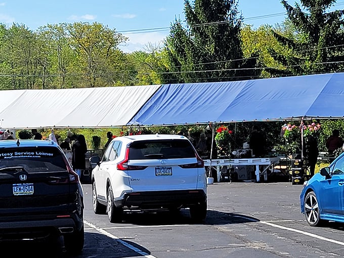 Tents shelter an array of colorful produce at this Pocono gem. Where the vegetables were probably in the ground yesterday.
