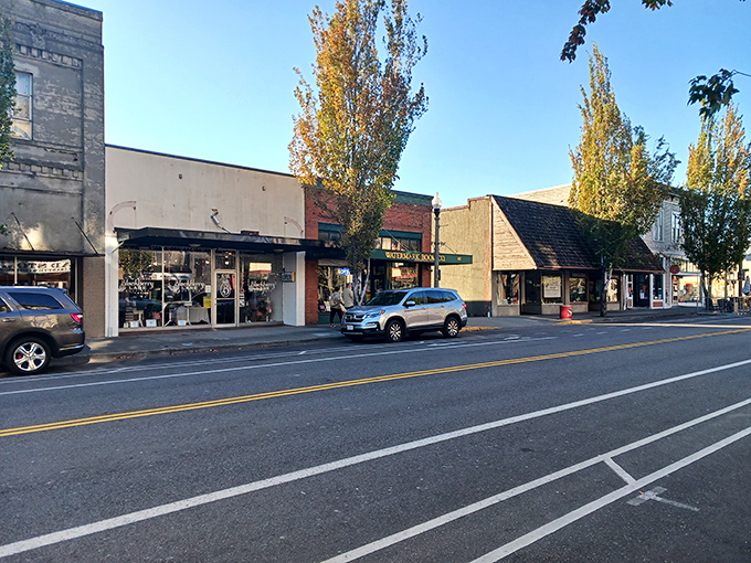 Downtown Anacortes feels like stepping into a Norman Rockwell painting where everyone actually wants to live.